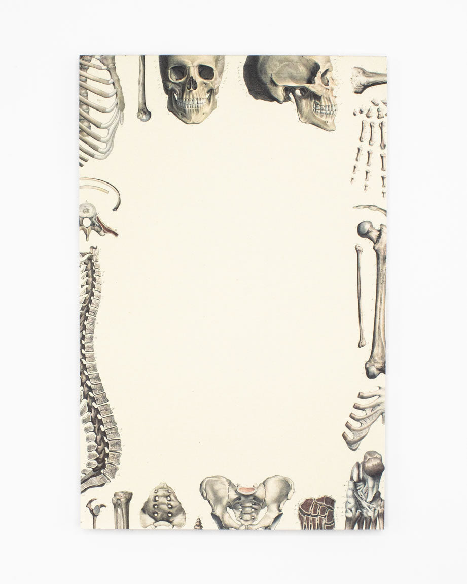 Skeleton Notepad – Bartrums & Co Ltd