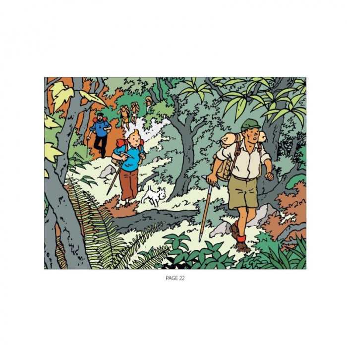 Tintin in Tibet Colouring Book – Bartrums & Co Ltd